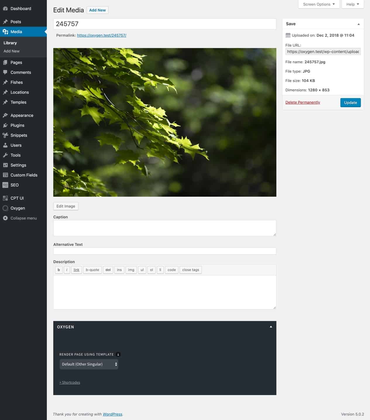 How to remove Oxygen meta box from Edit Media pages
