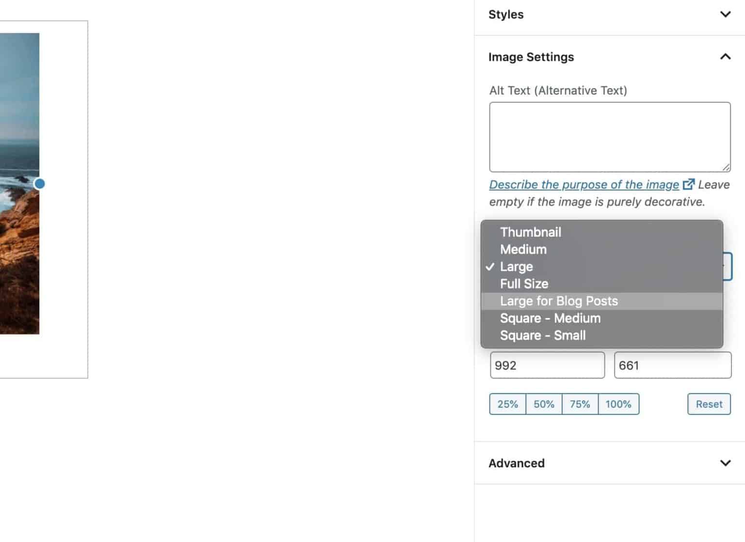 Using Responsive SRCSET Images & Custom Image Sizes in Oxygen