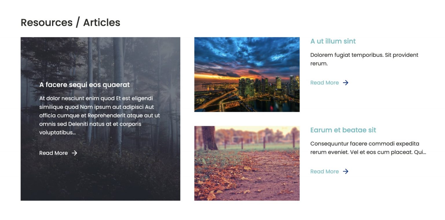 Custom Easy Posts Layout using CSS Grid